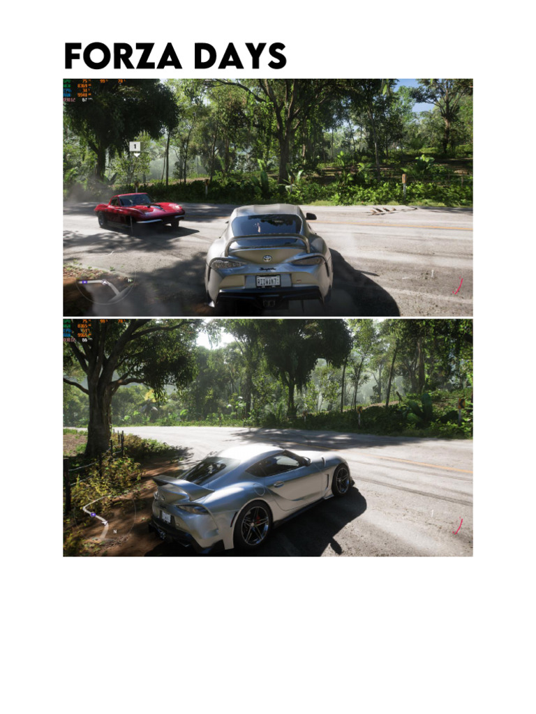 Forza Tutorial | PDF