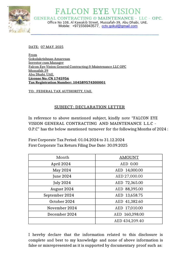 Falcon Eye Vision Tax Declaration 2024 | PDF | Taxes | Government Finances
