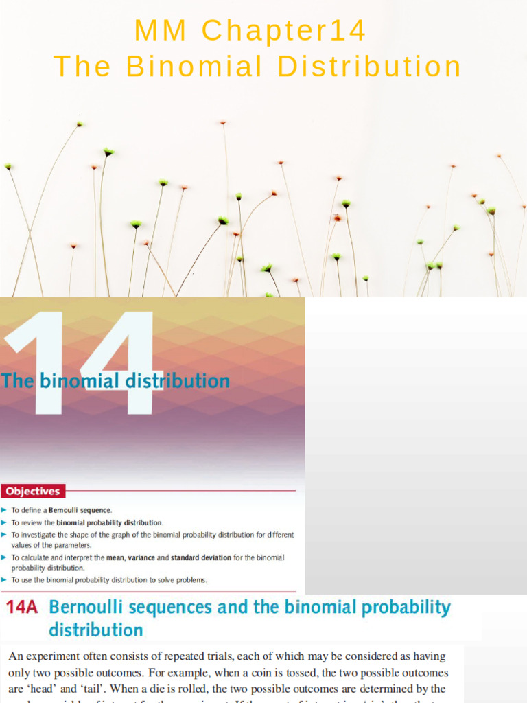 Powerpoint MM Chapter14 | PDF