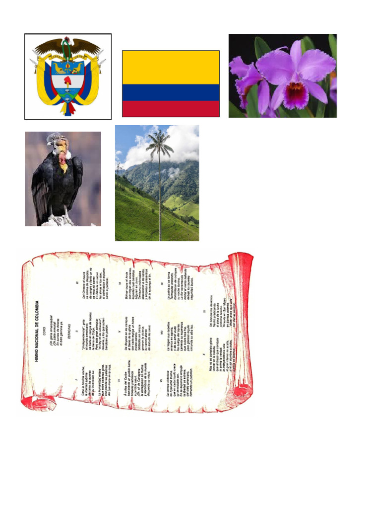 simbolos patrios | PDF