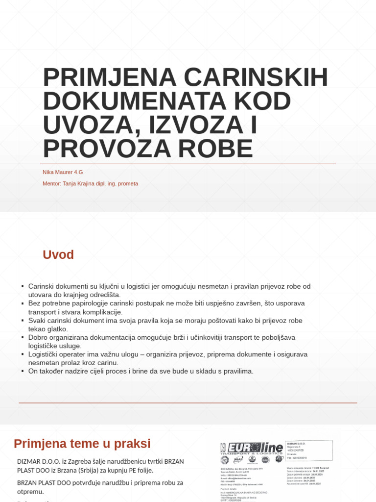 Primjena Carinskih Dokumenata Kod Uvoza Izvoza I Provoza | PDF