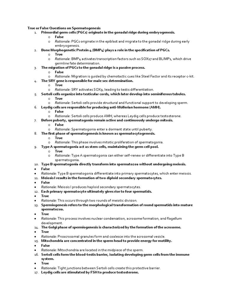 Spermatogenesis True/False Quiz | PDF | Placenta | Meiosis