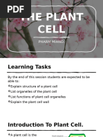 Labeled Plant Cell Structure and Functions | PDF | Cell (Biology ...