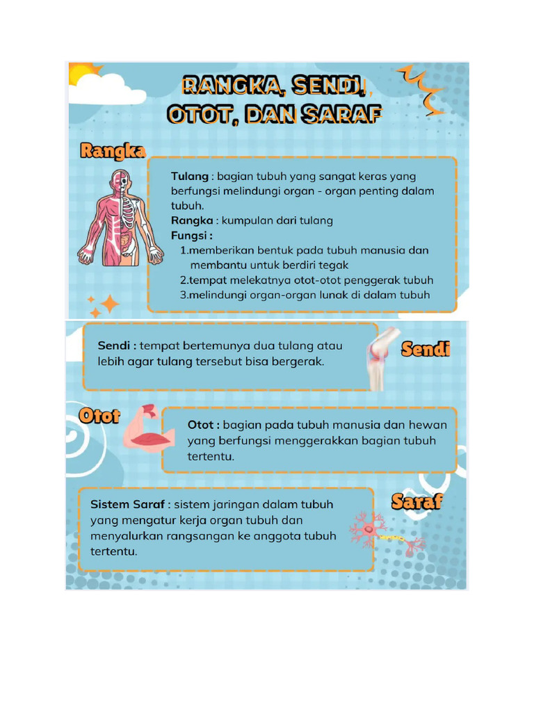 Rangkuman TEMA 5 Materi Rangka Manusia, Sendi Dan Otot. | PDF