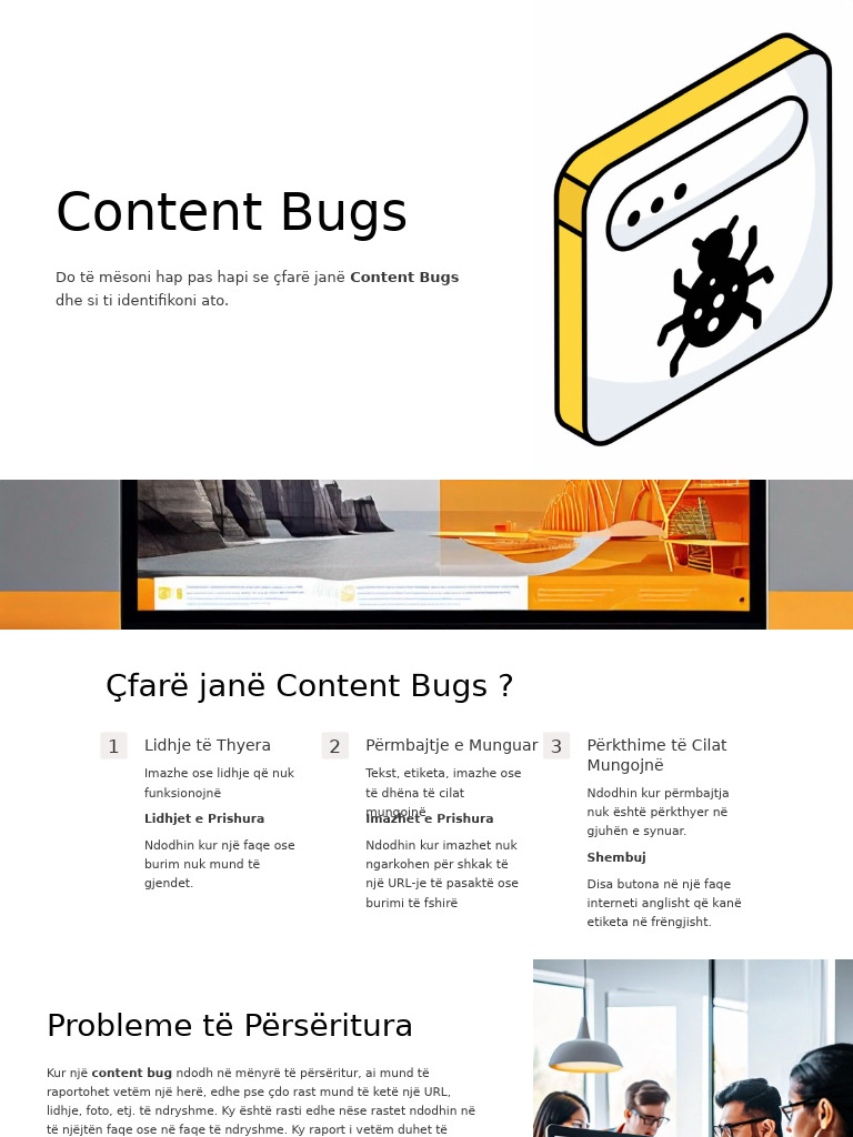 Content Bugs | PDF