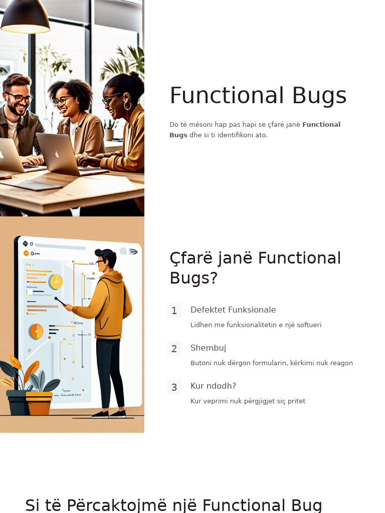 Functional Bugs | PDF