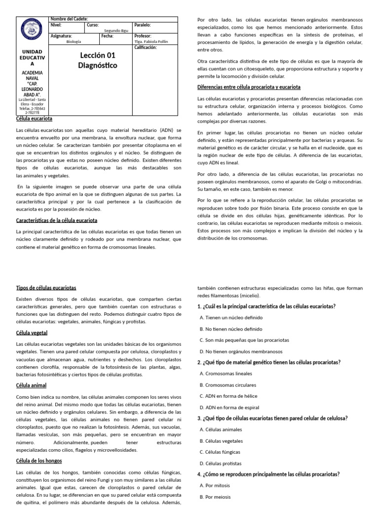 Diagnóstico de Segundo Bgu | PDF | Biología Celular) | Eucariotas