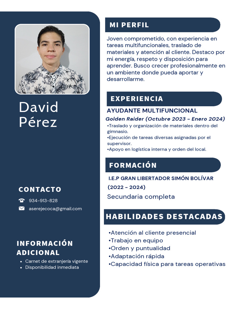 CV David Pérez | PDF