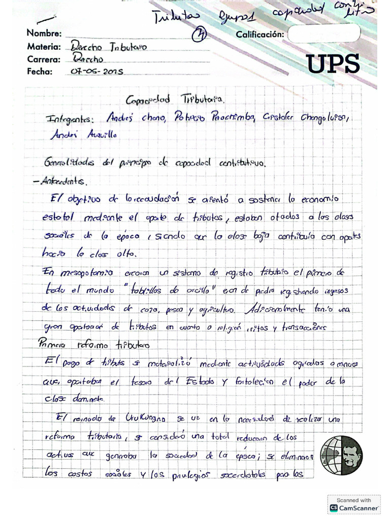 Capacidad Tributaria - Trabajo Grupal | PDF