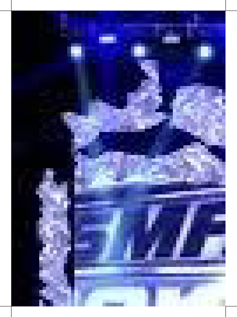 Smackdown Entrance Figure Size | PDF
