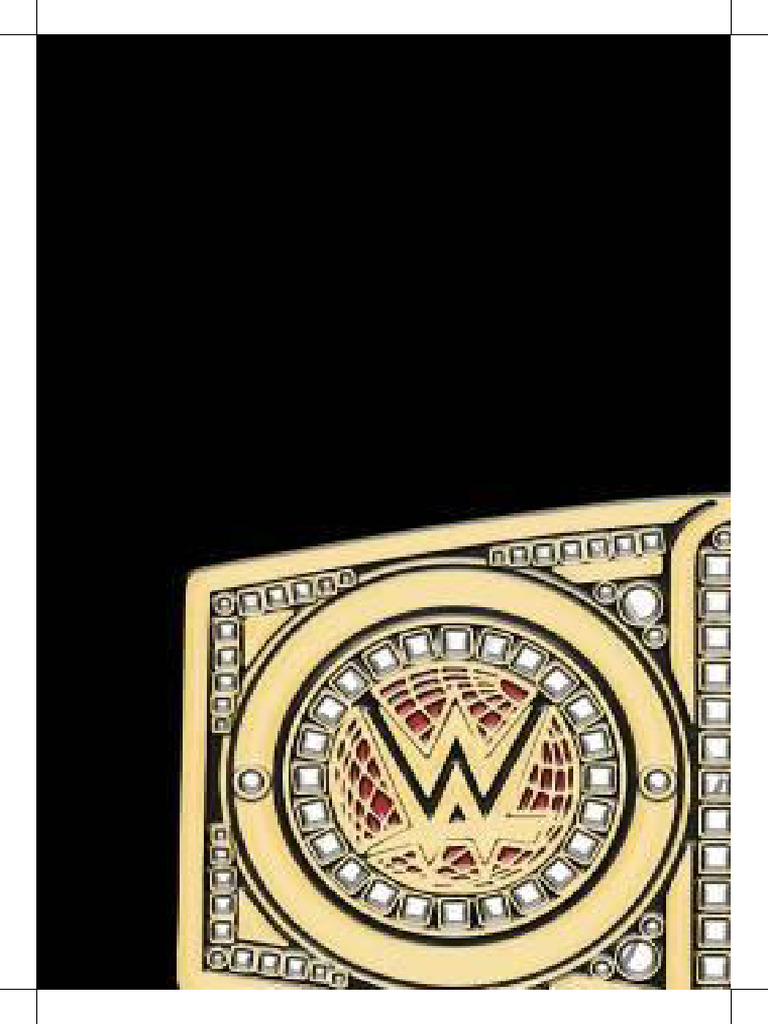Wwe Undisputed Championship Adult Size | PDF