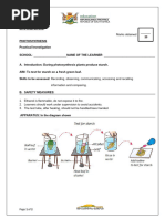 Student Practical Worksheet - Tetsing For Starch | PDF