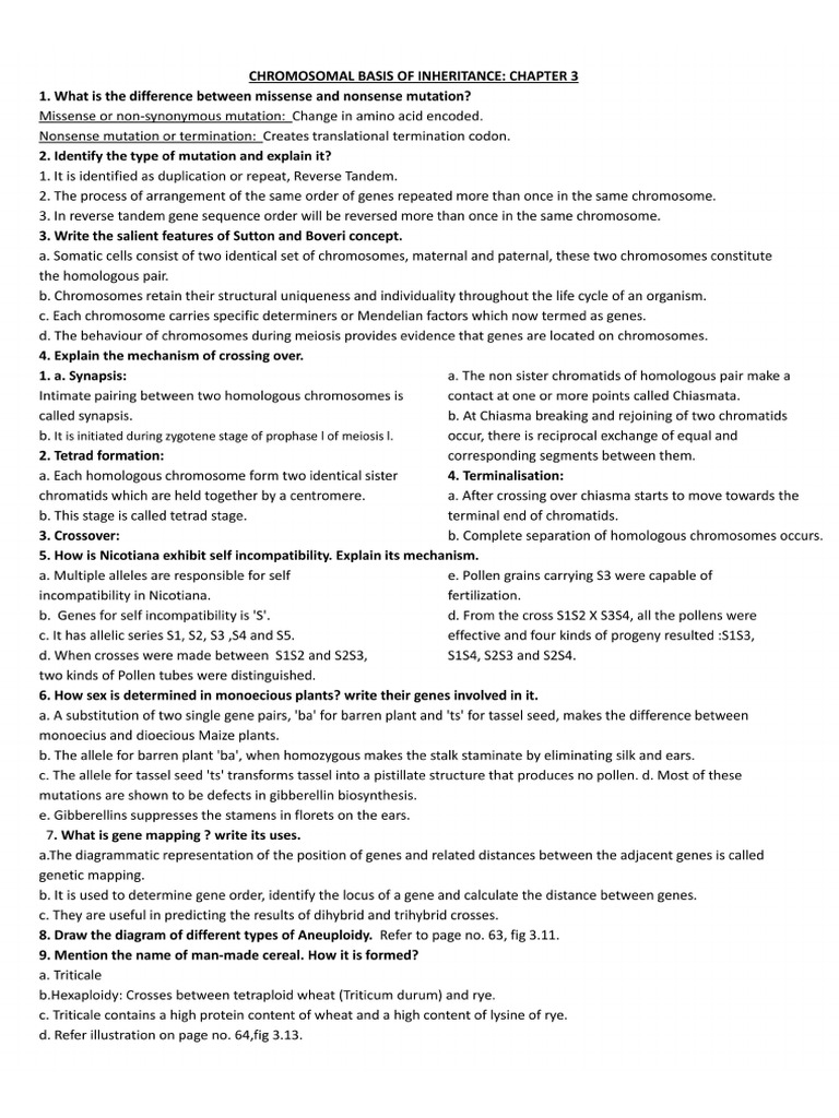 Chromosomal Basis Of Inheritance Chapter 3 Pdf