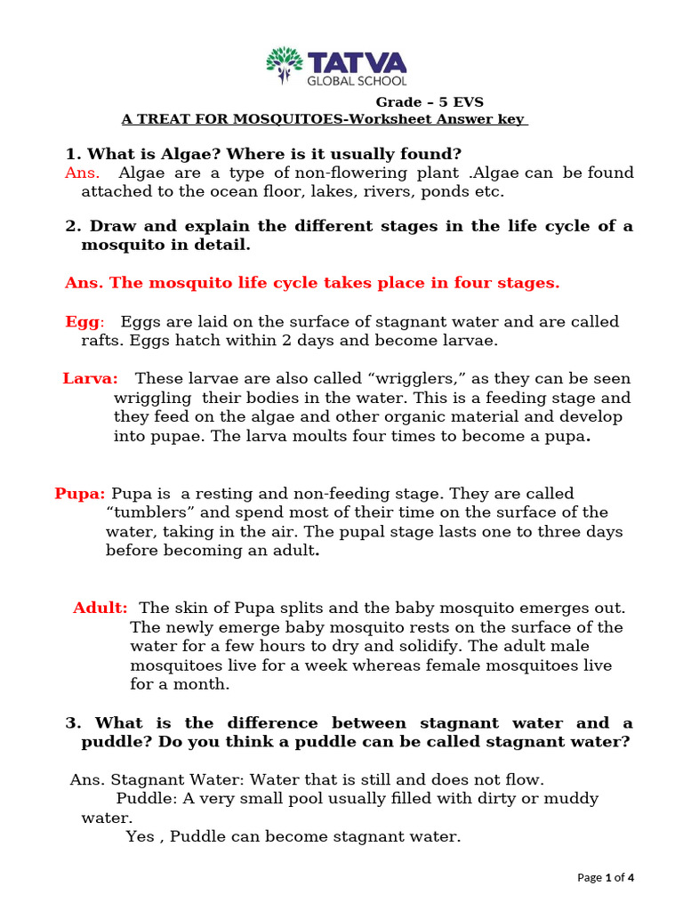 Class 5 EVS: Mosquito Worksheet Answers | PDF | Mosquito | Pupa