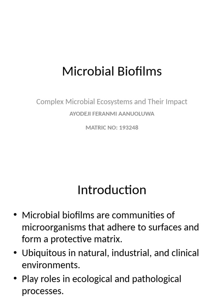 Microbial Biofilms Presentation | PDF | Biofilm | Bacteria