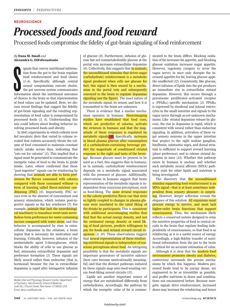 Processed foods and food reward | PDF | Brain | Striatum