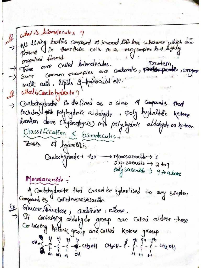 Document Class Xii Biomolecules (Chemistry) | PDF