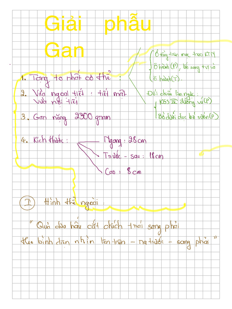 Gan | PDF