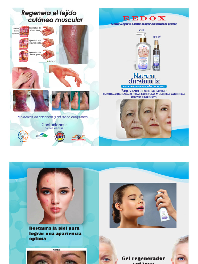 Cartilla Redox 4 Paginas - Corregido | PDF