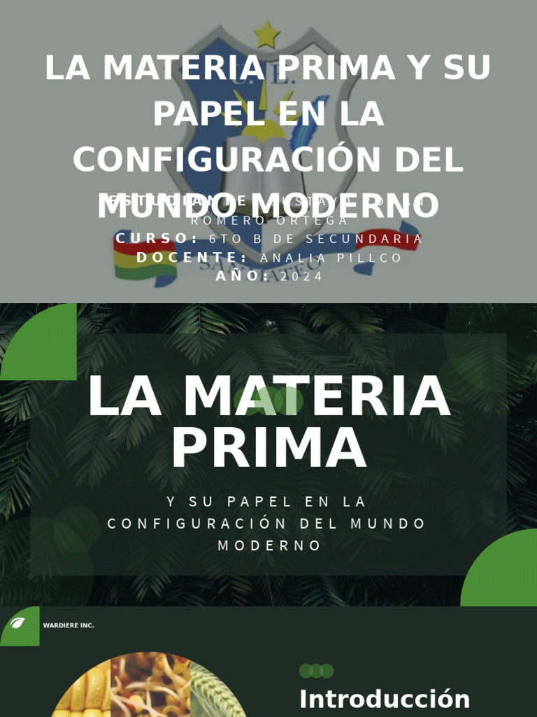 Materia Prima | PDF | Sustentabilidad | Economias