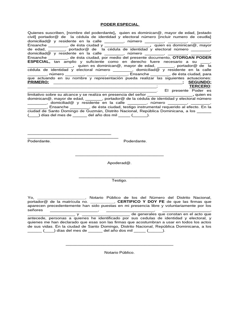 Poder Especial - Modelo | PDF | Control de acceso | Autenticación