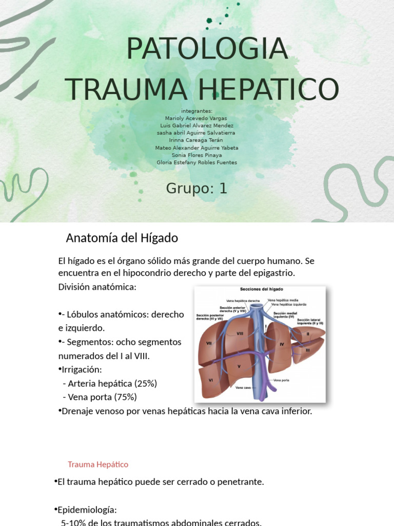 Trauma Hepático 5 | PDF | Hígado | Abdomen