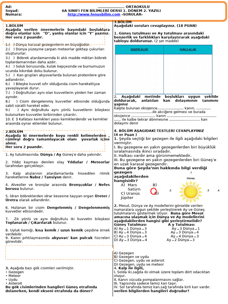 6-sinif-1-donem-2-yazili-ornegi-fenusbilim.com_ | PDF
