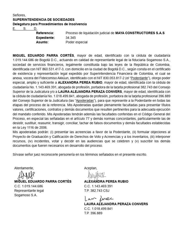 Poder Especial en Liquidación Judicial | PDF | Justicia | Crimen y ...