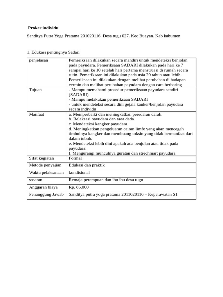 CONTOH Proker KKN Individu | PDF