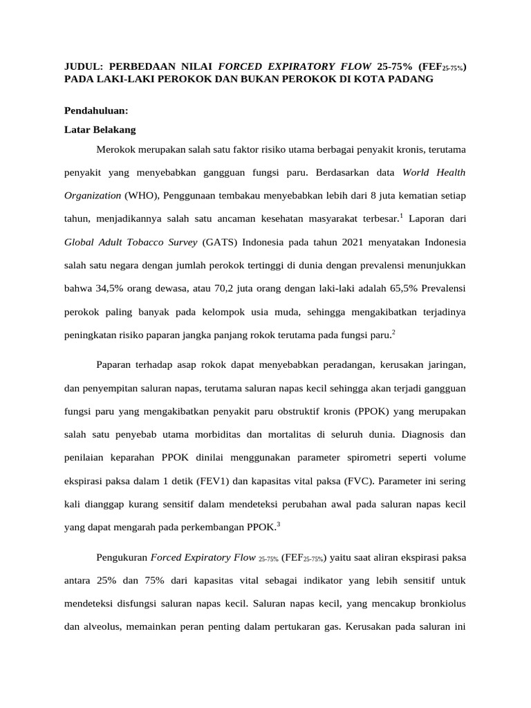 2 Pages Perbaikan | PDF