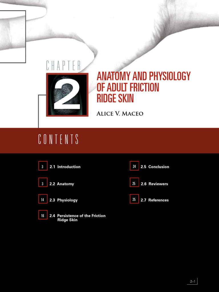 Anatomy of Adult Friction Ridge Skin | PDF | Epidermis | Skin
