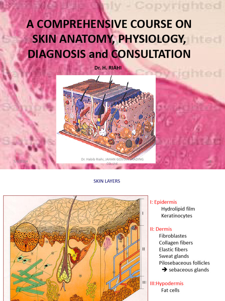 A Comprehensive Course On Skin Anatomy and Physiolology | PDF ...