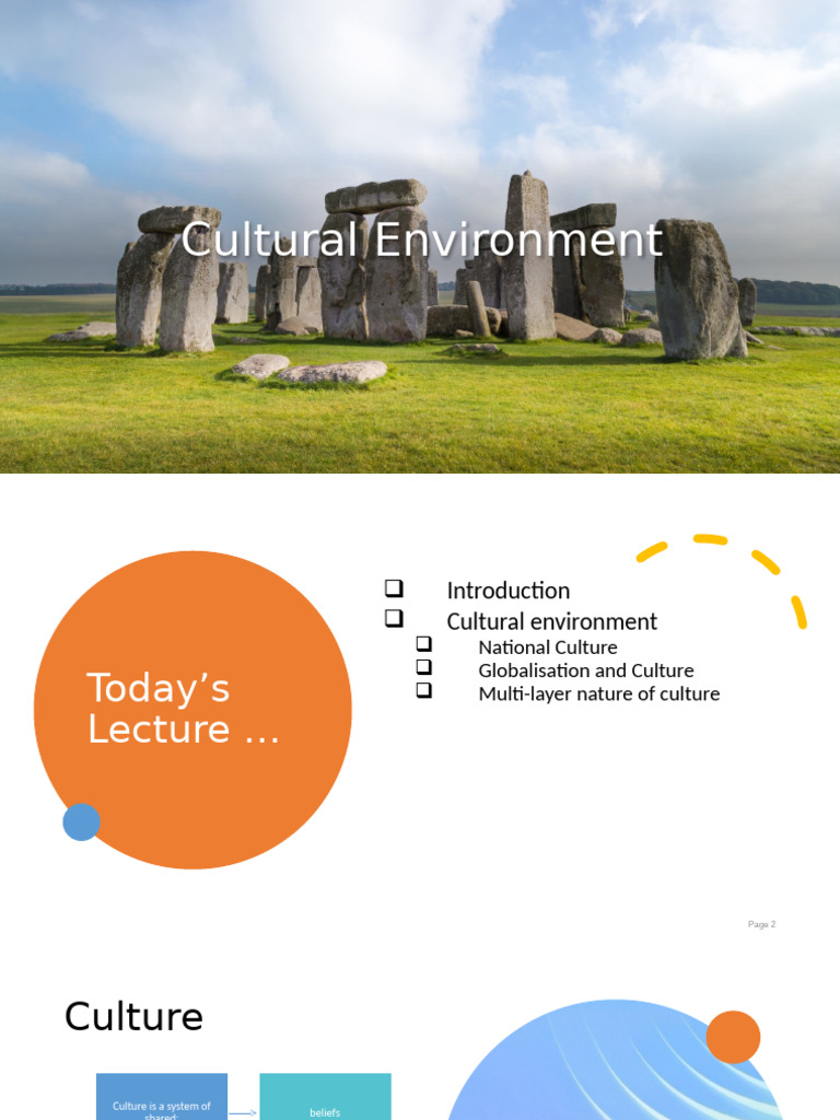 Understanding Cultural Environment Dynamics | PDF | Organizational ...