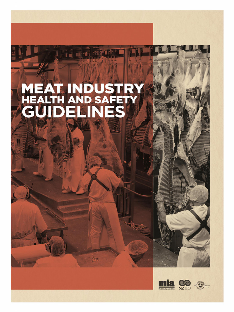 Mia Hs Guidelines 2013 | PDF | Occupational Safety And Health | Employment