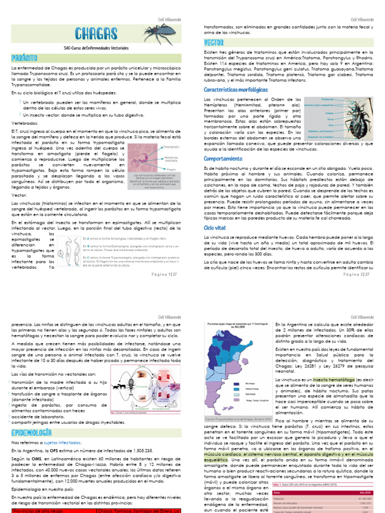 Chagas Apaisado | PDF | Elisa | Especialidades Medicas
