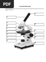 Day 02 - Drawing - Magnification - How - To v.003 | PDF | Field Of View ...