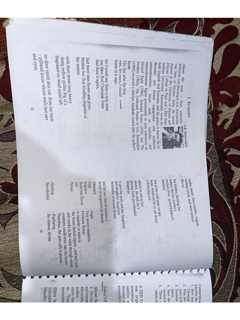 PDF English Ted 2 | PDF