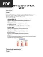 Guía sobre Cromoniquia y Alteraciones Ungueales | PDF | Clavo (anatomía ...