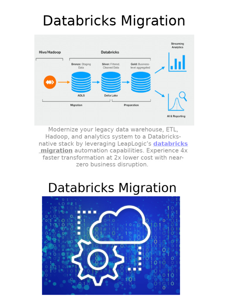 Databricks Migration Automation Guide | PDF