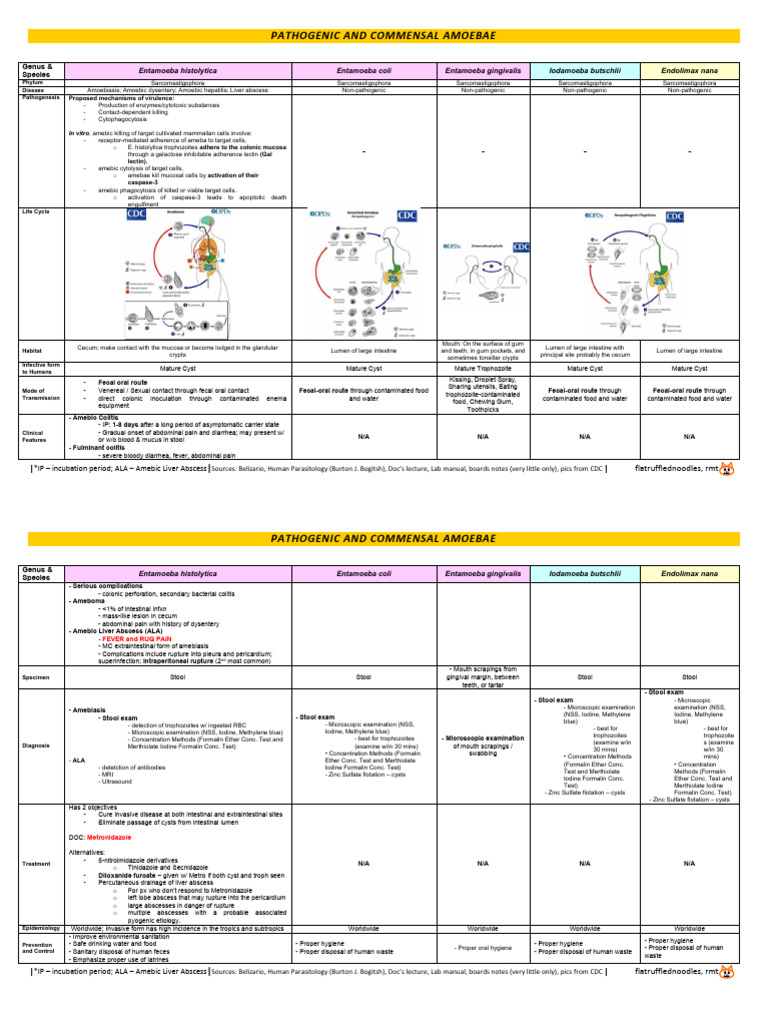 Pathogenic - Commensal Amoebae | PDF | Diseases And Disorders | Immunology