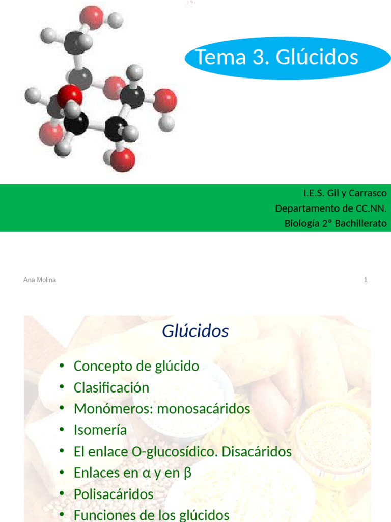 Tema 3B. Glúcidos | PDF | Carbohidratos | Isómero