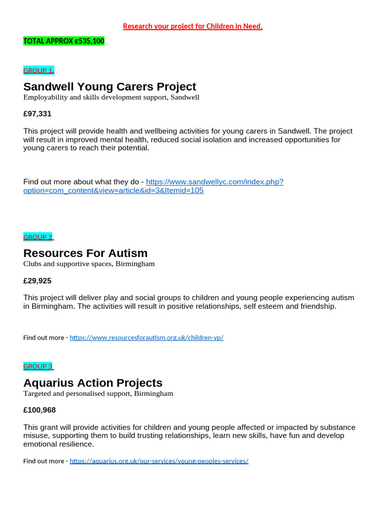 NEW Project Information Sheet 2024 | PDF | Mental Health | Autism
