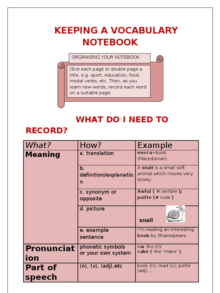 Organizing Your Vocabulary Notebook | PDF
