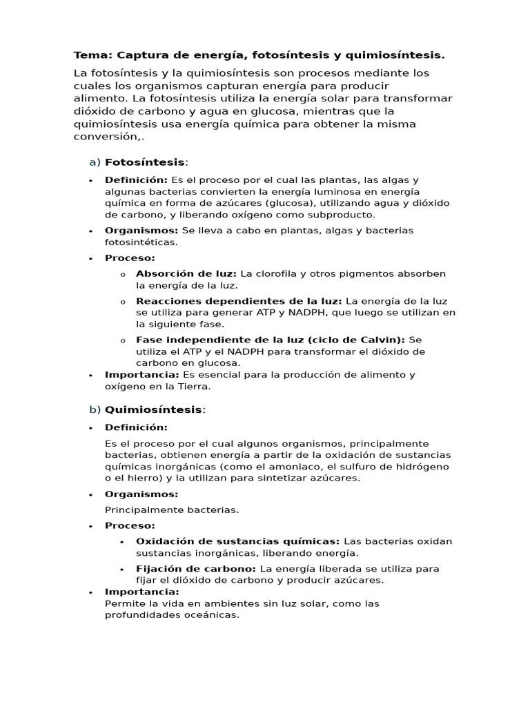 Fotosíntesis y Quimiosíntesis: Procesos Energéticos | PDF