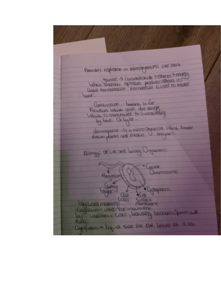 Flagellum | PDF
