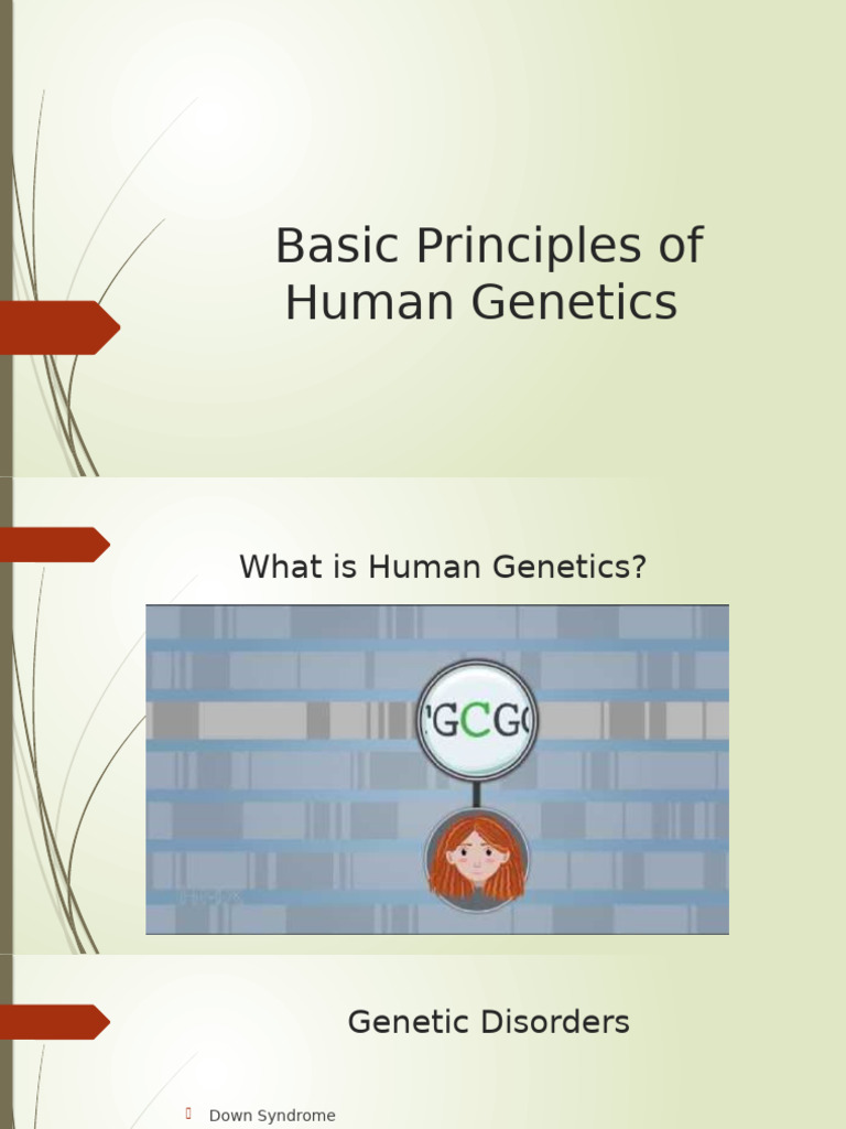 Basic Principles of Human Genetics | PDF | Genetic Disorder | Genetics