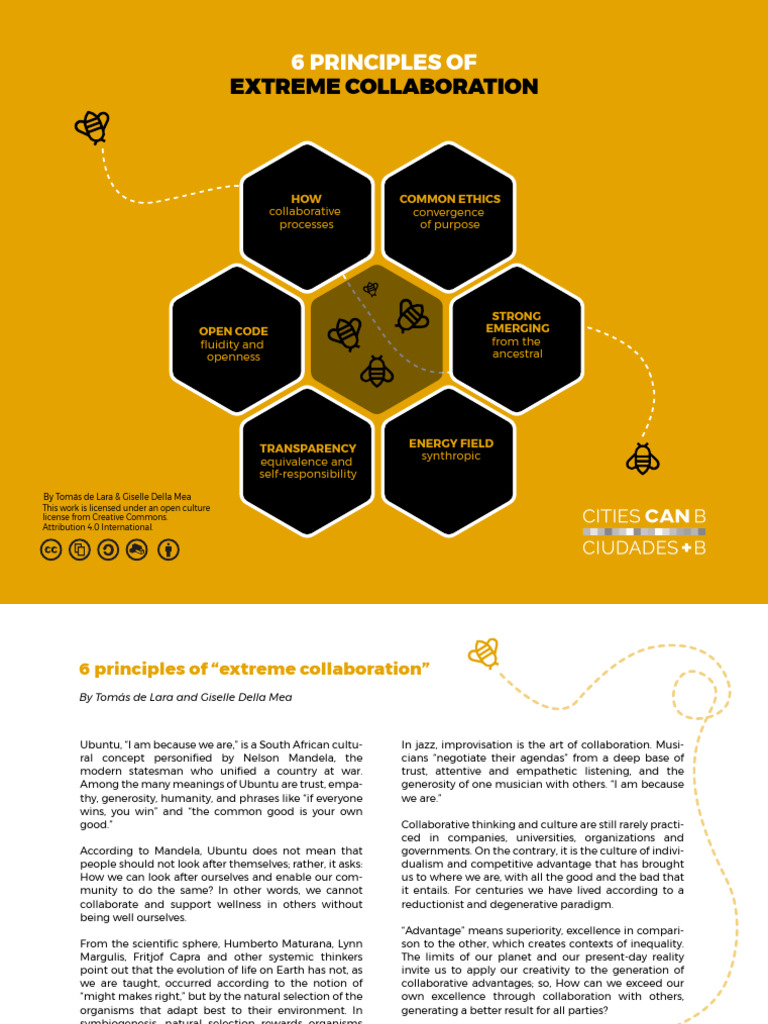 6 Six Principles Extreme Collaboration Eng | PDF