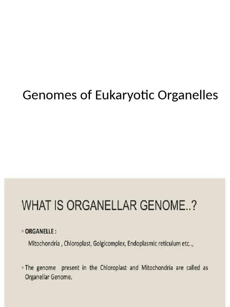 Eukaryotic Organellar Genome | PDF