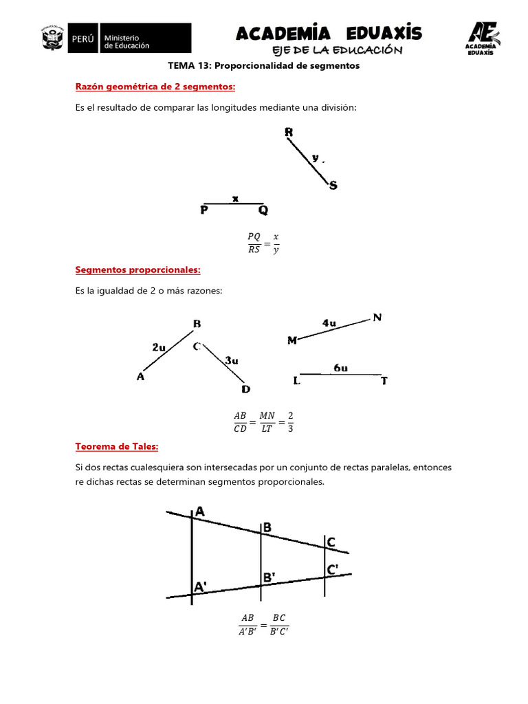 TEMA 13 - Proporcionalidad de Segmentos | PDF | Triángulo | Rectángulo