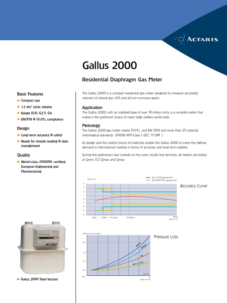 Gallus 2000 Gas Meter Overview | PDF | Gases | Mechanical Engineering